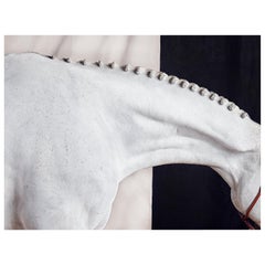 "Bikers" Photograph from the "Opus Deorum" Series by Jim French at 1stdibs