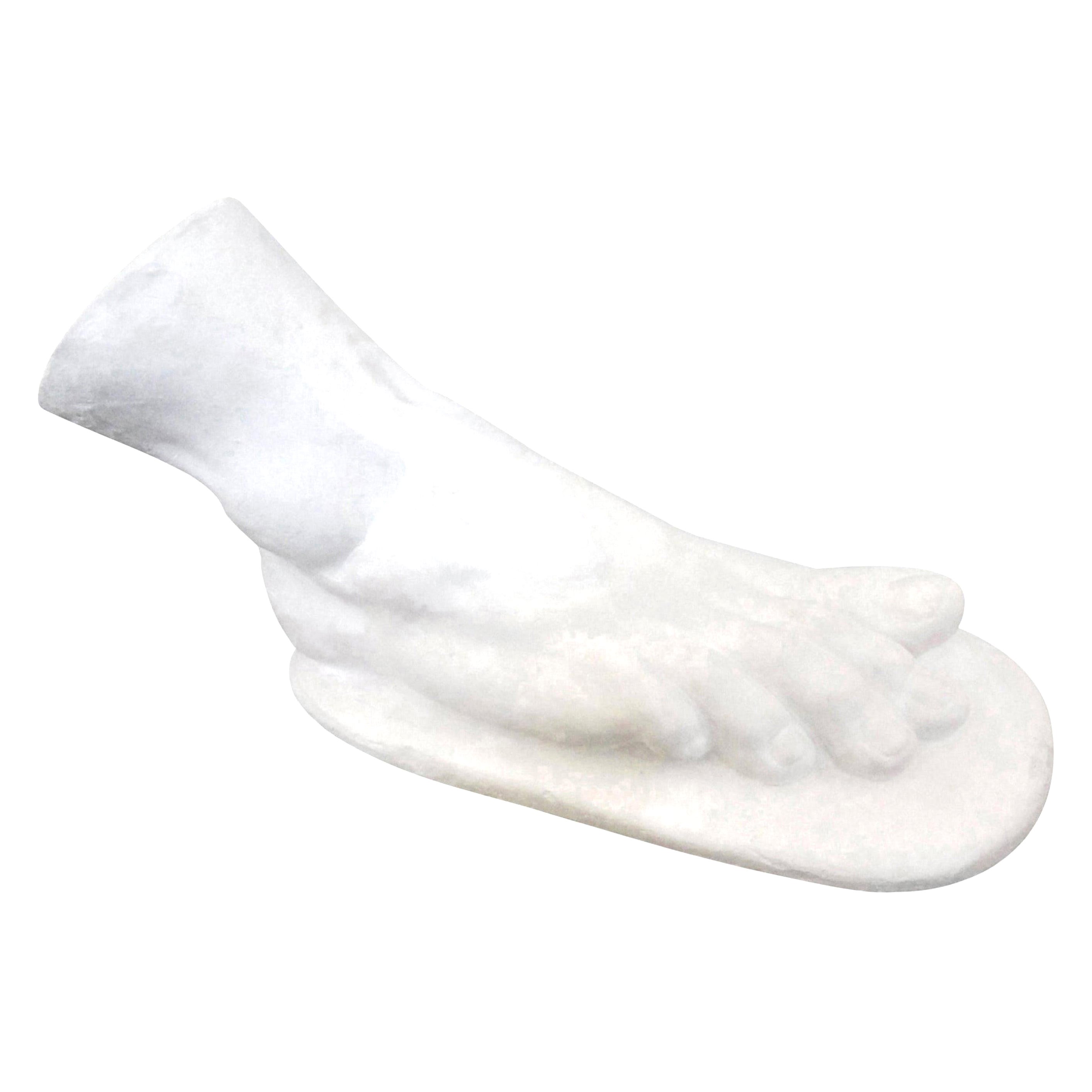 Plaster Foot Educational Model by Sculpture House at 1stDibs