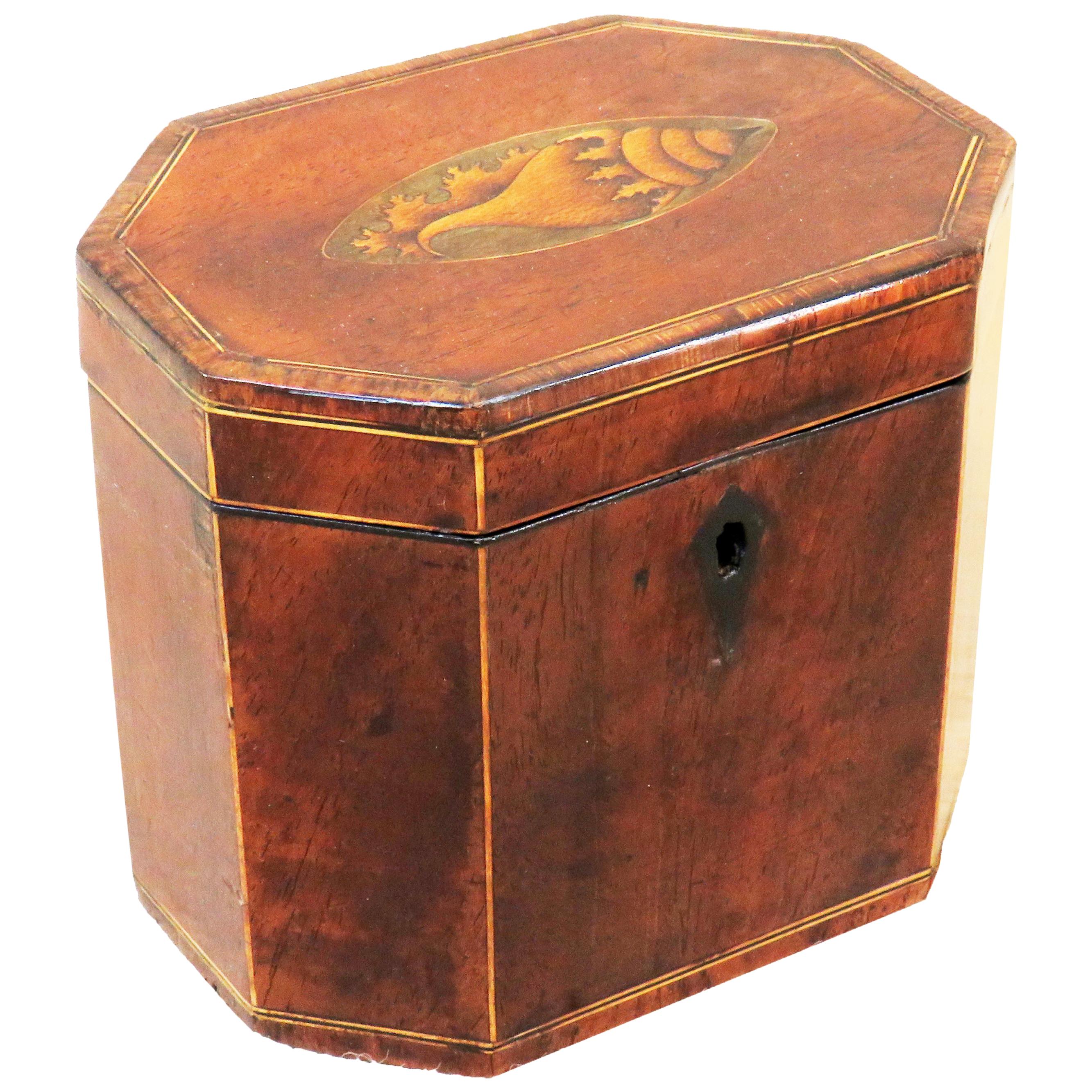 18th Century Mahogany Octagonal Shaped Antique Tea Caddy at 1stDibs