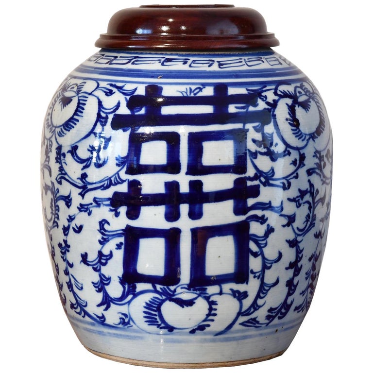 Qing Chinese Porcelain Blue and White Shuang-xi Jar with Double ...