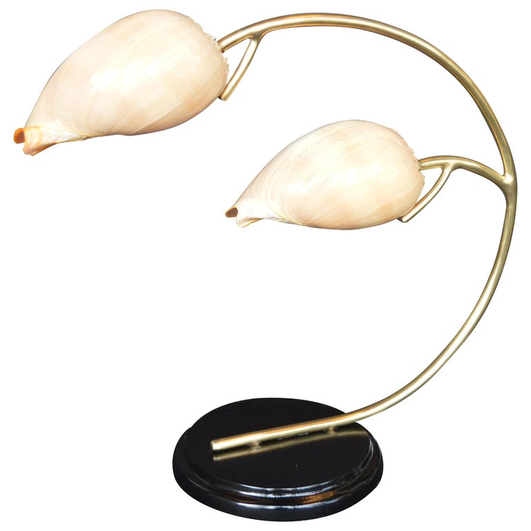 Conch Shell Table Lamp For Sale at 1stDibs