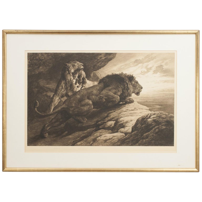 Herbert Dicksee Lion Etching, 'The Alarm' at 1stDibs