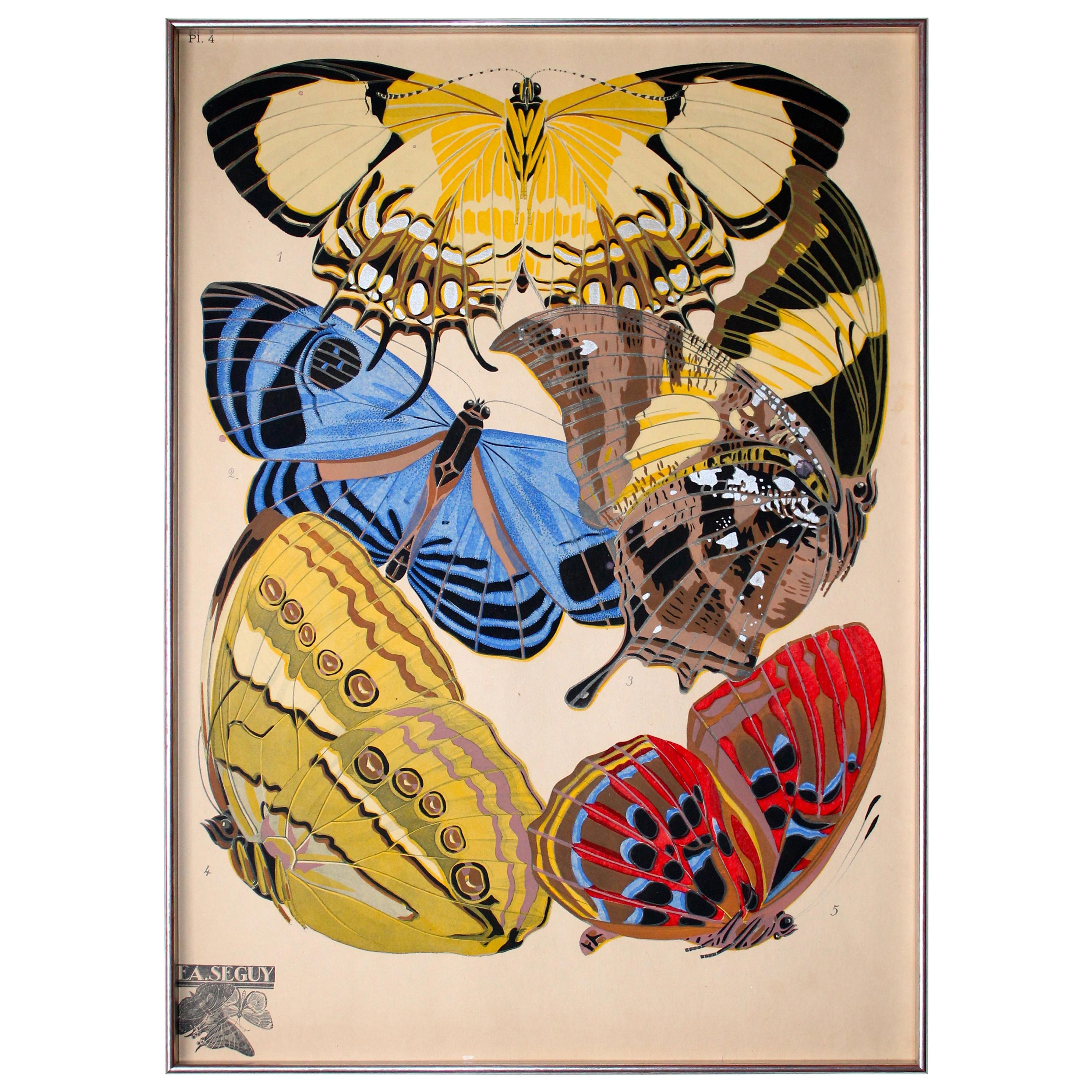 Emile-Alain Seguy "Papillons' Plate 4 French Art Deco at 1stDibs ...