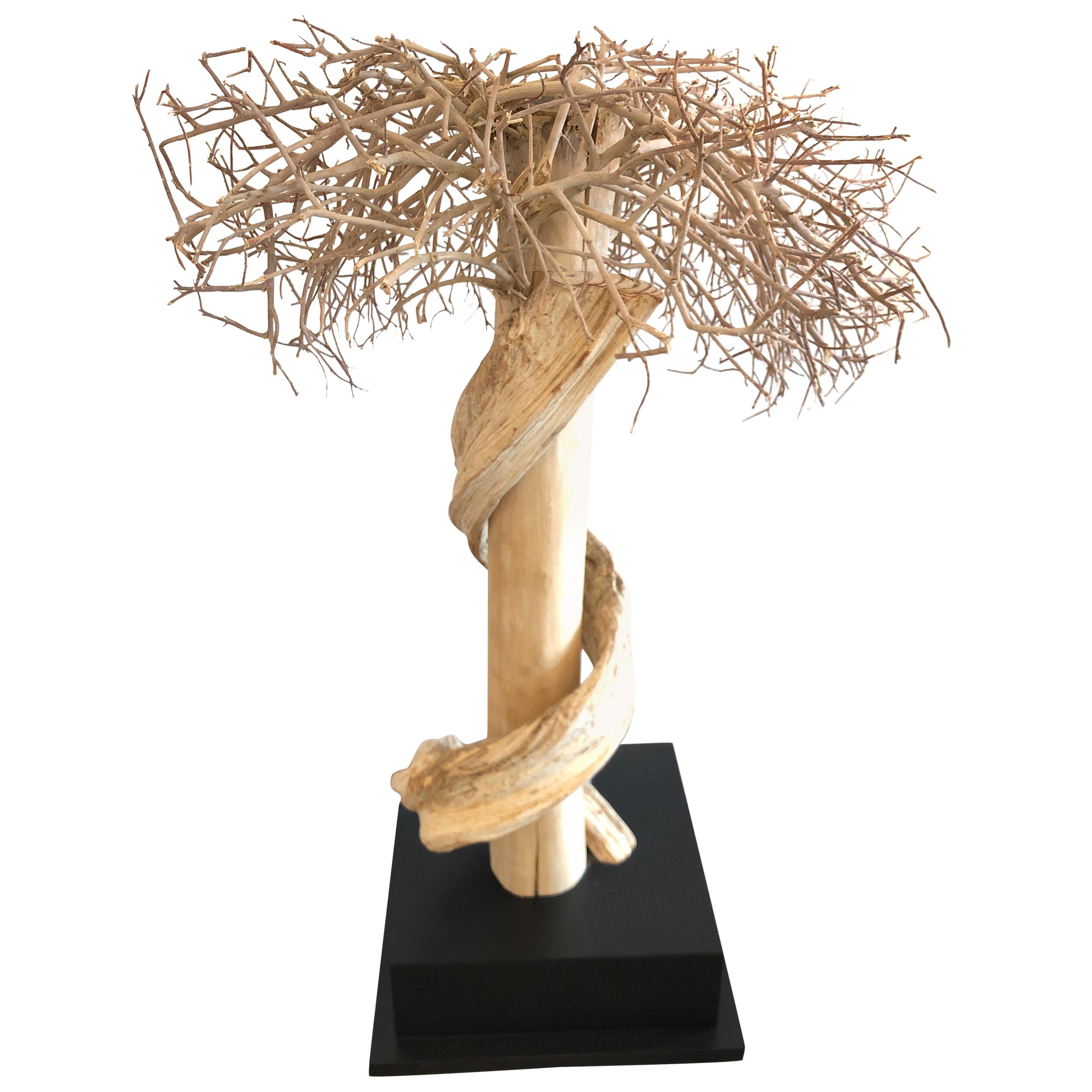 Bronze Sculpture of a Bonsai Oak Tree at 1stDibs | bronze tree ...