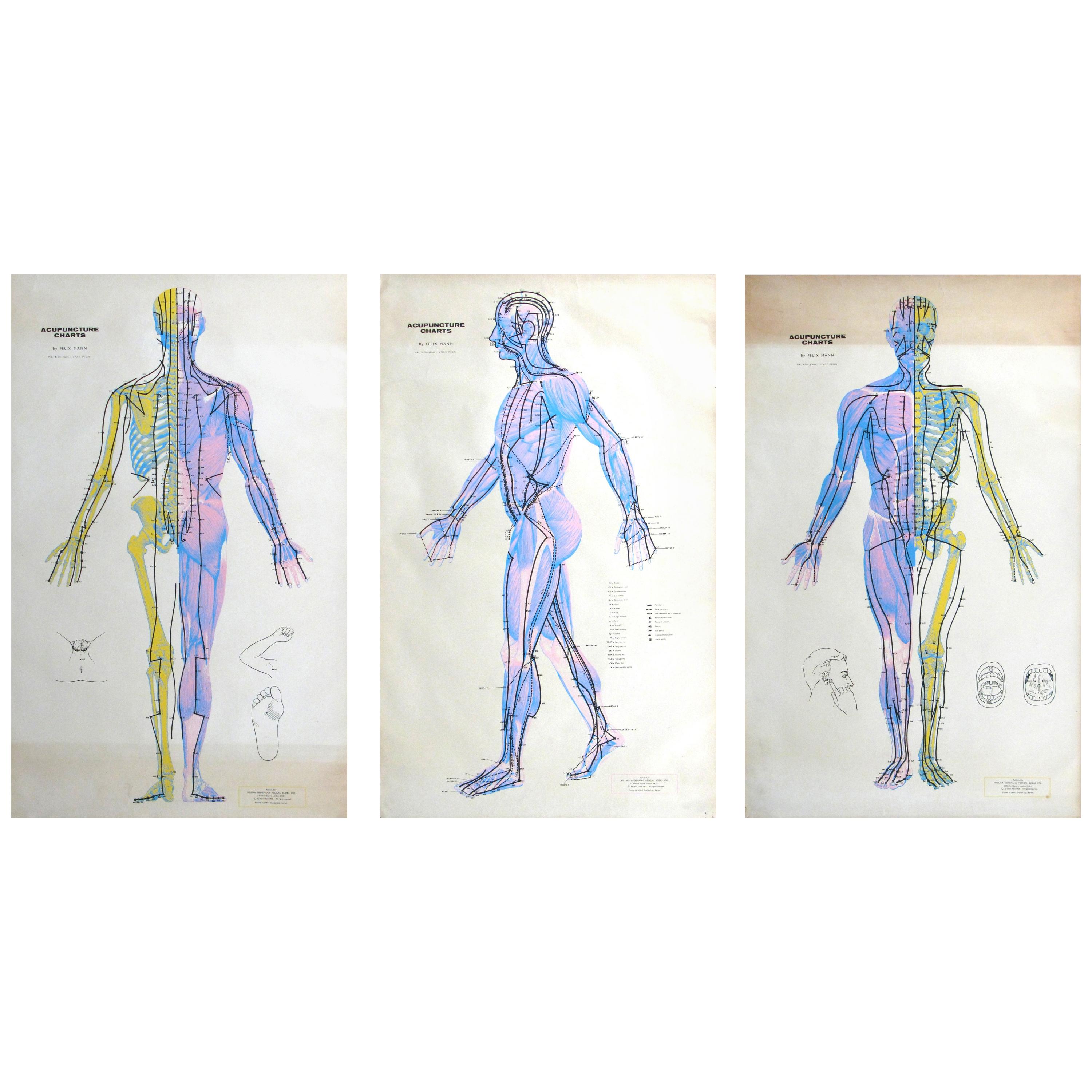Set of Three Vintage Acupuncture Serigraphs on Linen by Felix Mann For ...