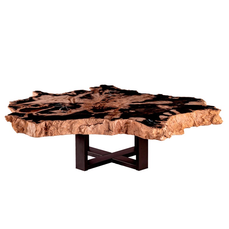 Center of Coffee Table, Natural Root Shape, Petrified Wood with Metal ...