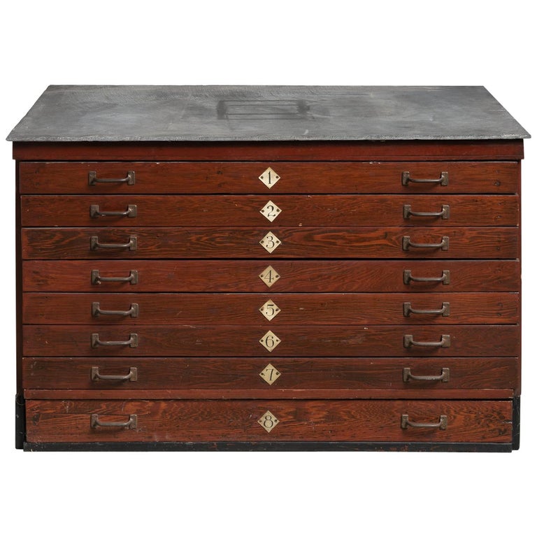 19th Century American Specimen Case For Sale at 1stDibs