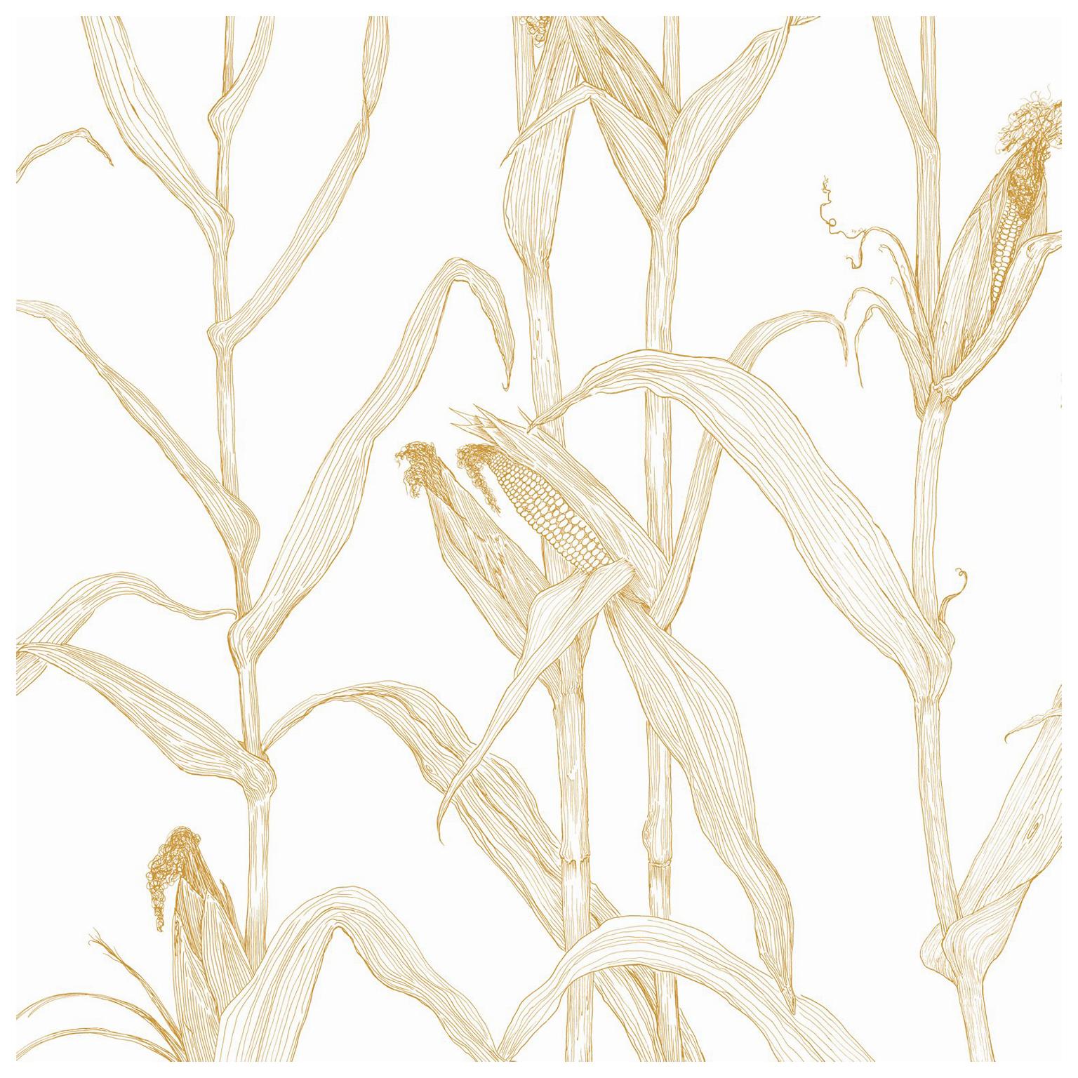 Corn Rows in Harvest on Smooth Paper For Sale at 1stDibs