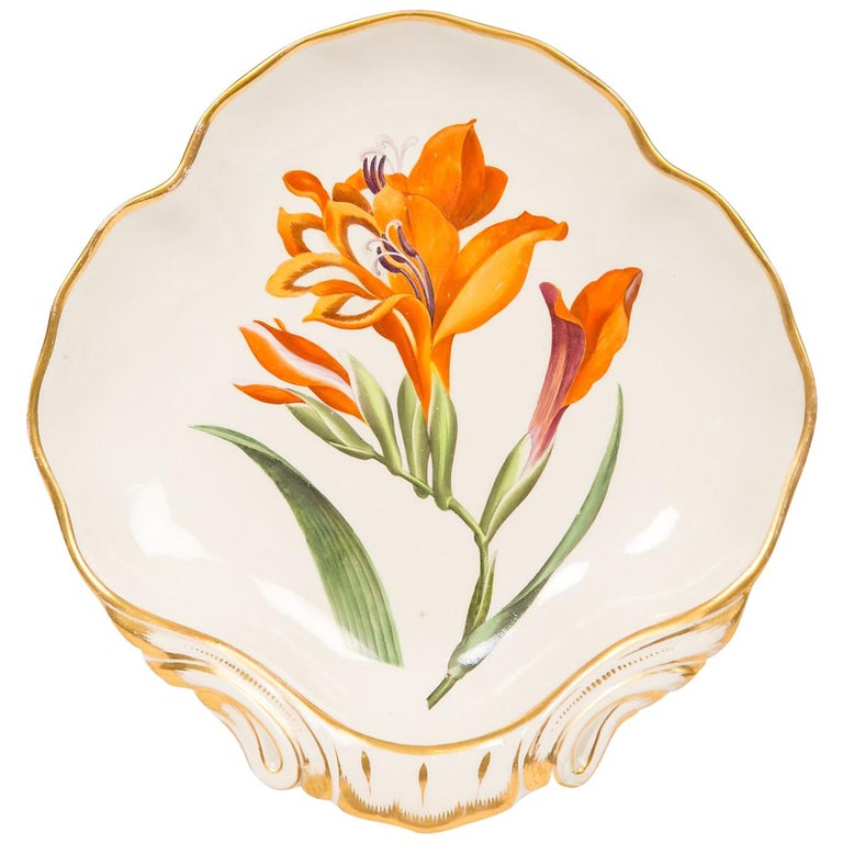 Derby Porcelain Dish Painted by Quaker Pegg at 1stDibs
