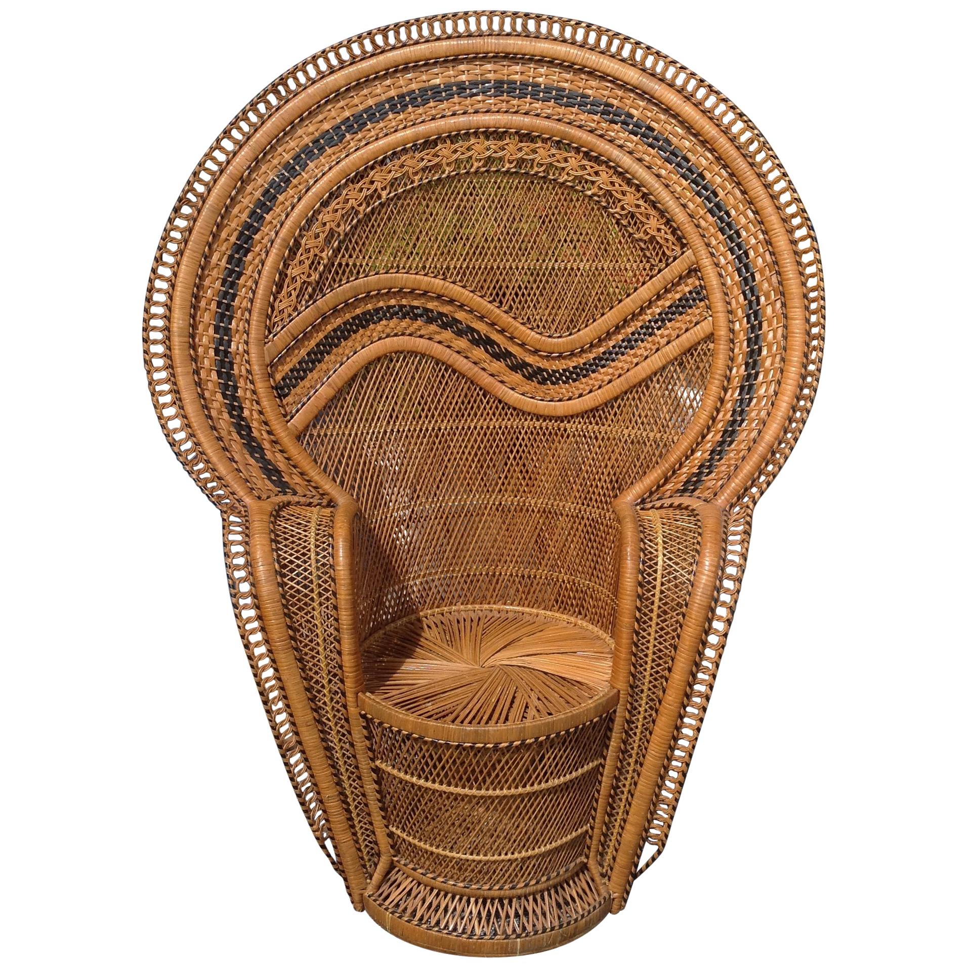 Dramatic Peacock Chair at 1stDibs