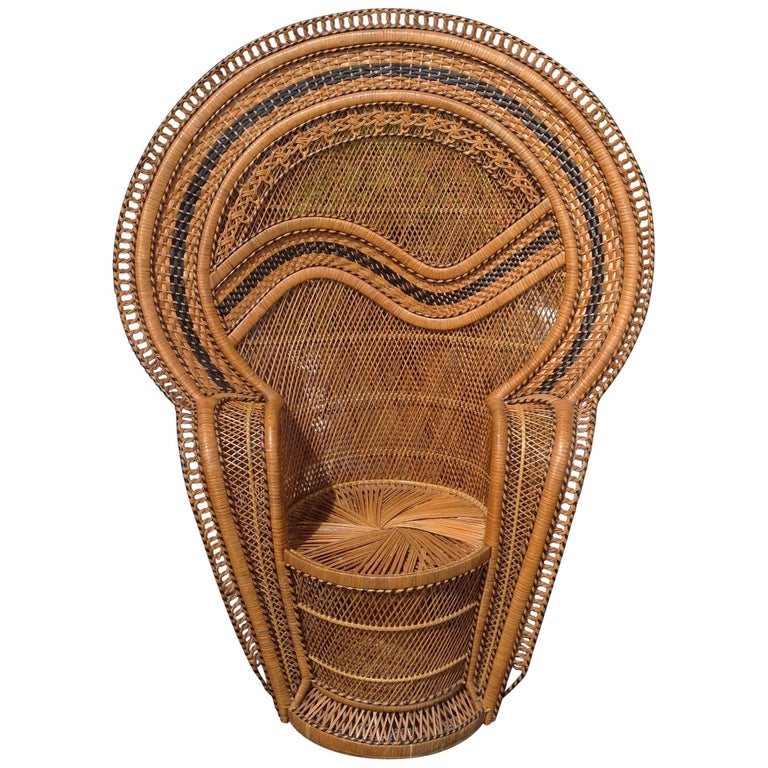 Dramatic Peacock Chair at 1stDibs