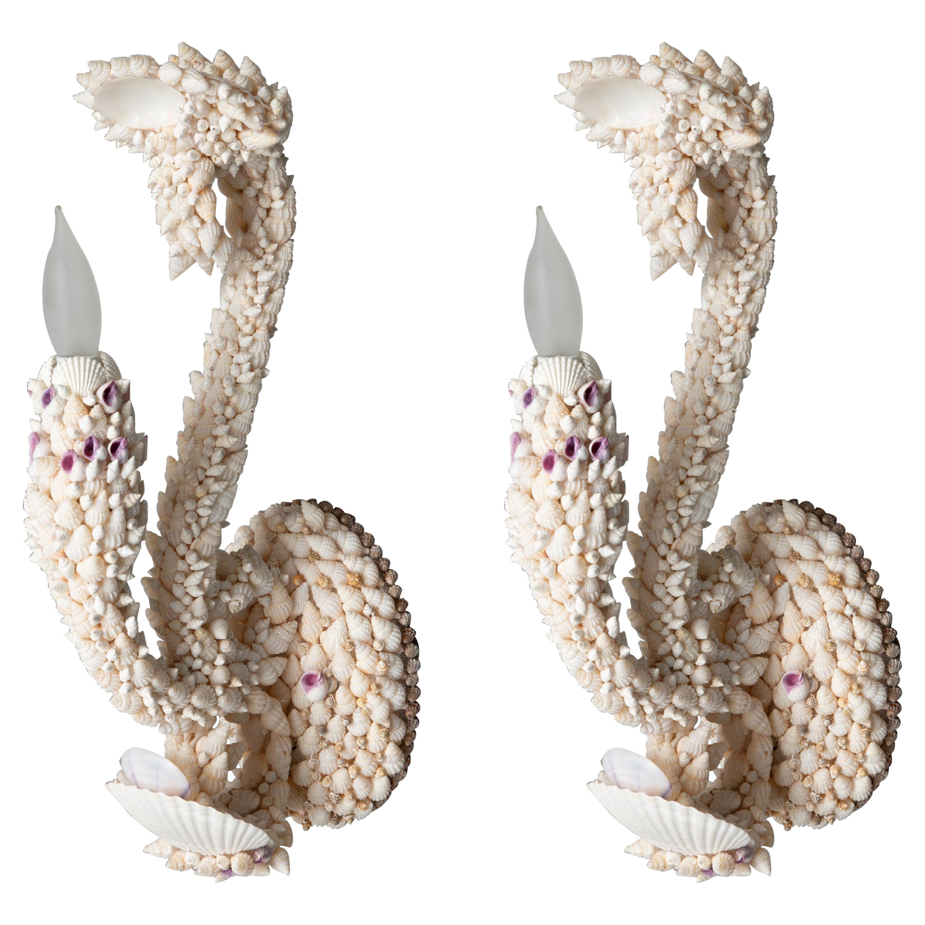 Pair of Shell Art Sconces at 1stDibs