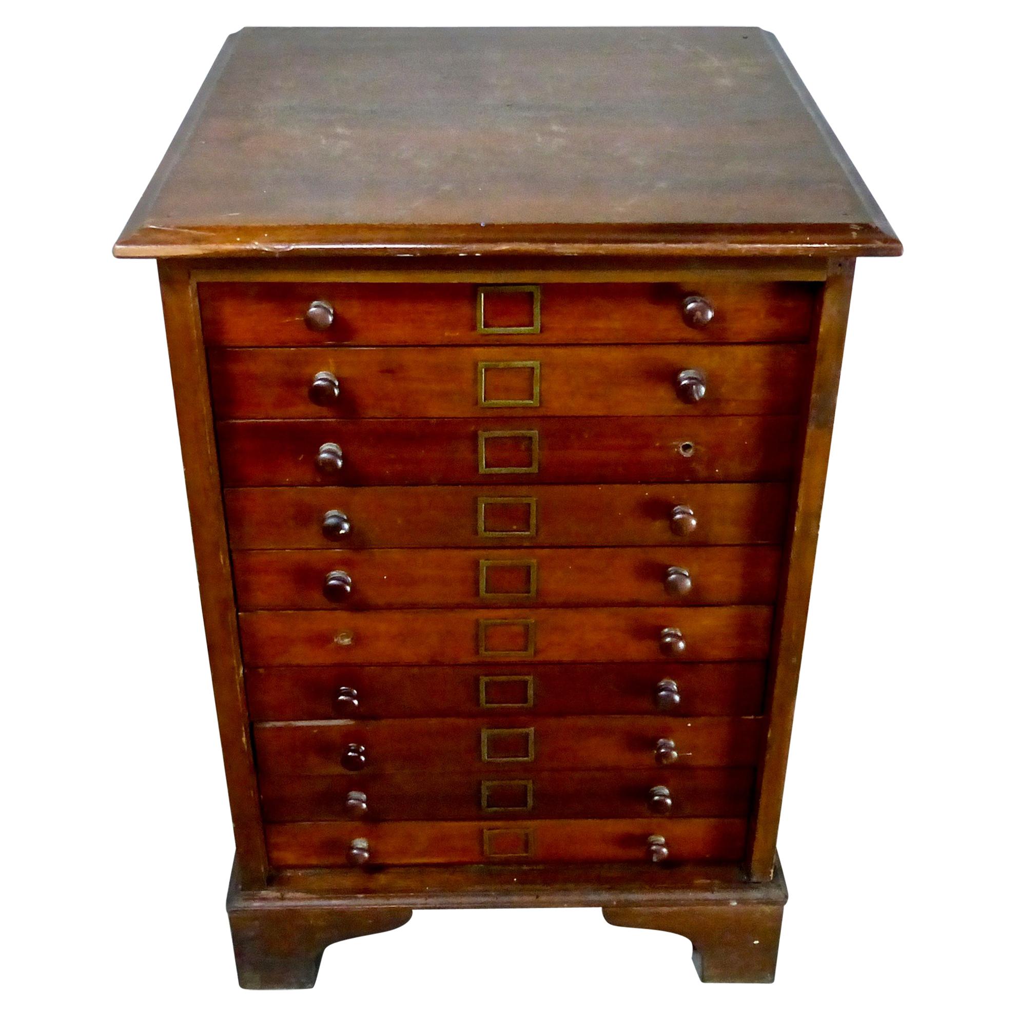 1920s Multi-Drawer Mahogany Specimen Cabinet at 1stDibs