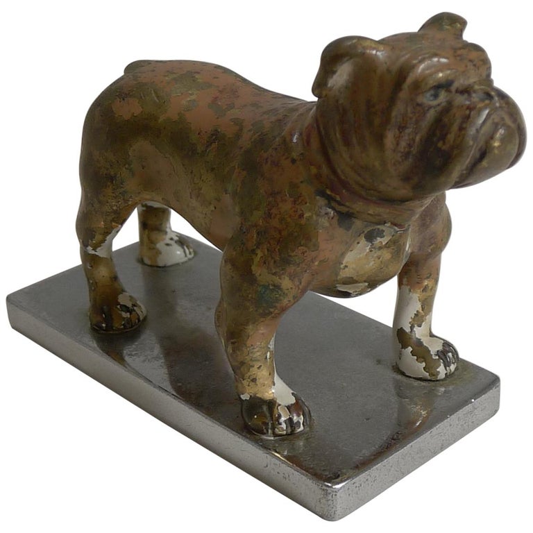 Antique Vienna Cold Painted Bronze Boxer Dog circa 1900, Car Mascot For ...