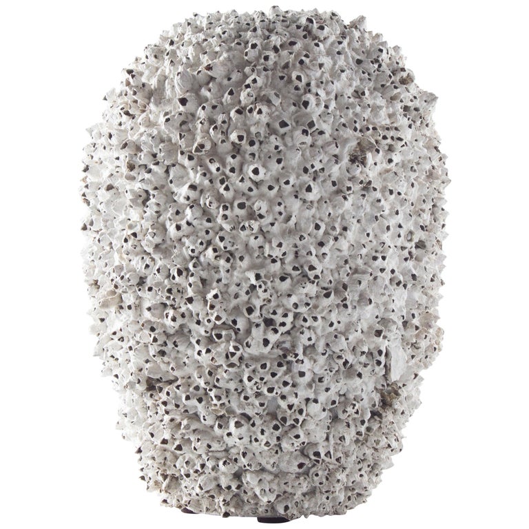 Barnacle Vase at 1stDibs