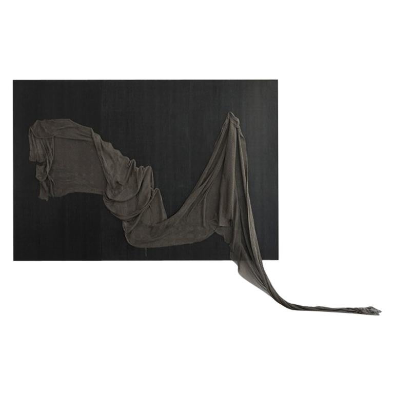 Interactive Magnetic Wall Panels with Metal Mesh by Luis Pons For Sale ...