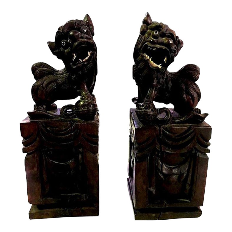 Renaissance Scottish Romayne Portrait Oak Panel, circa 1540-1560 For ...