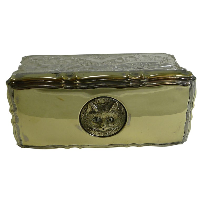 Antique English Glass and Brass Box - Cat With Original Glass Eyes c ...