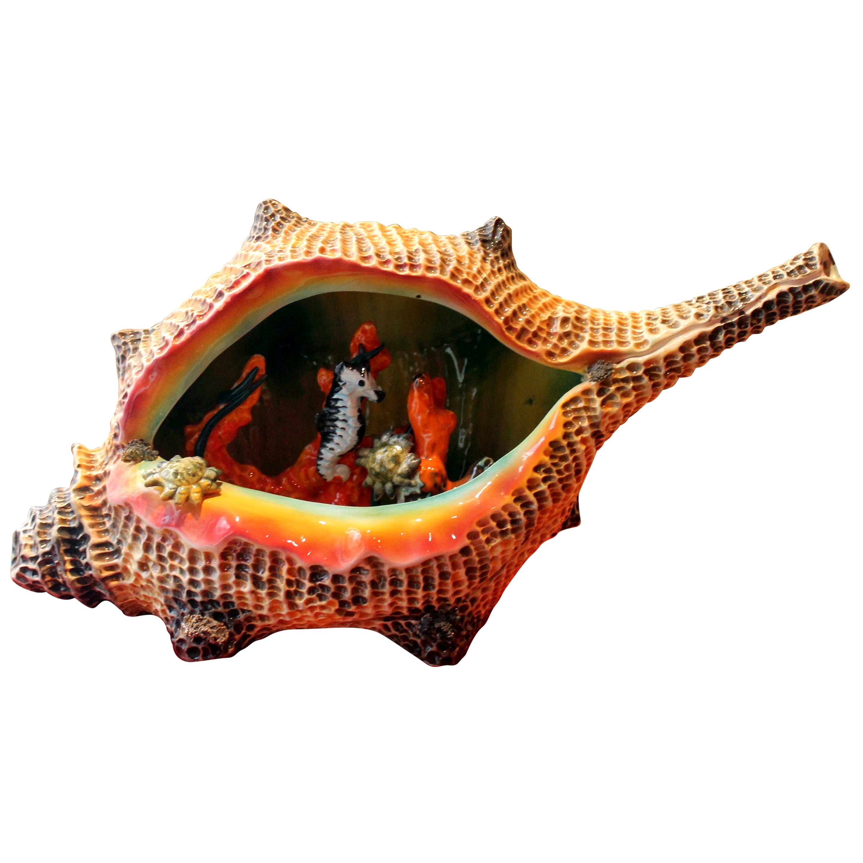 Beautiful Gigantic Calm Shells--1970s USA For Sale at 1stDibs