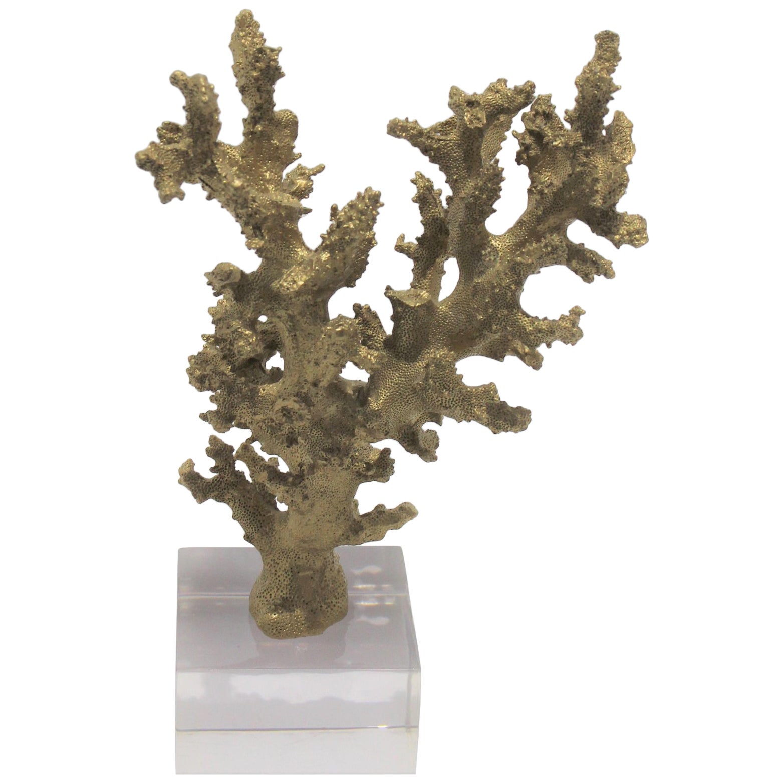 Fine Pink Coral Specimen Mounted on a Lucite Base at 1stDibs