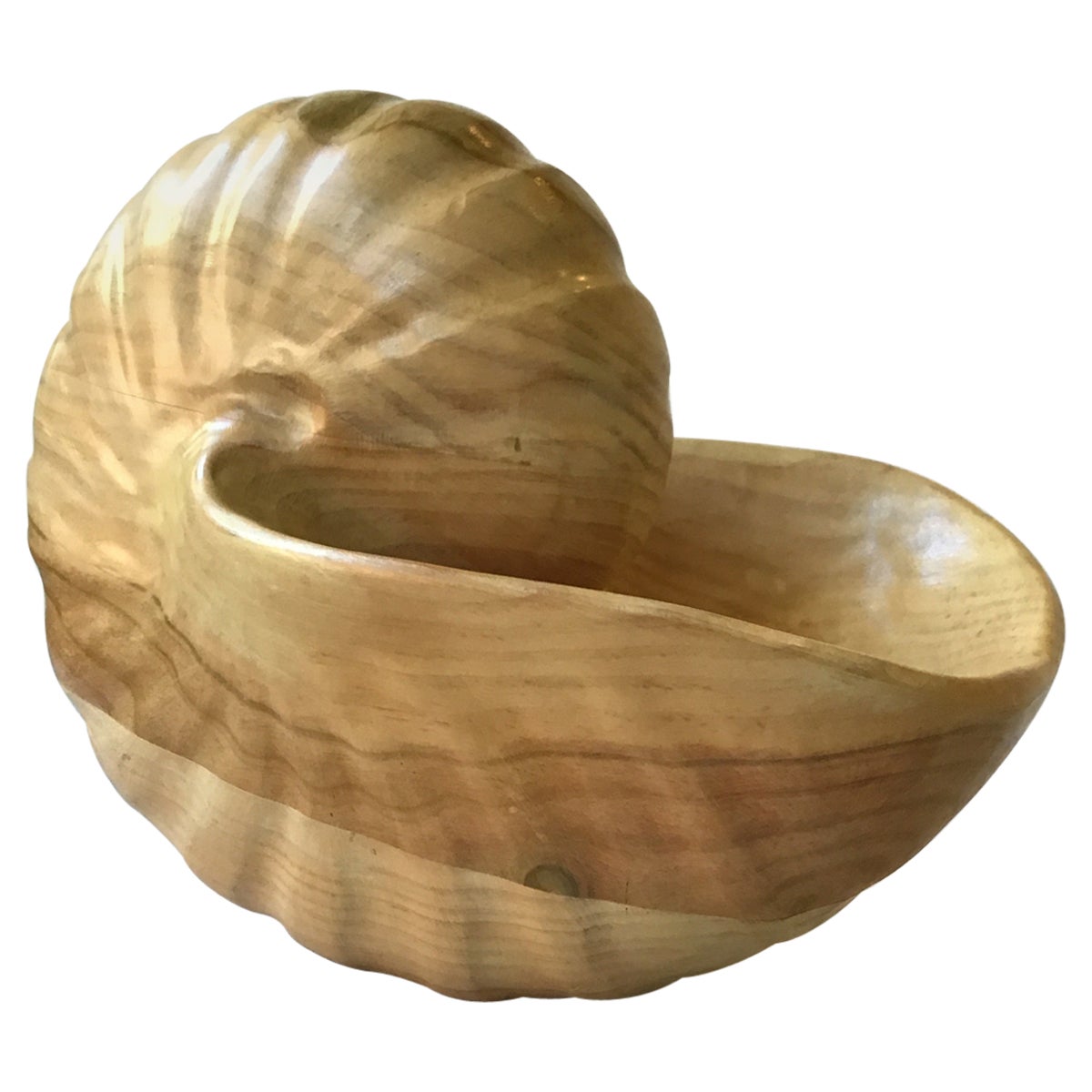 Large Hand Carved Wood Seashell For Sale at 1stDibs
