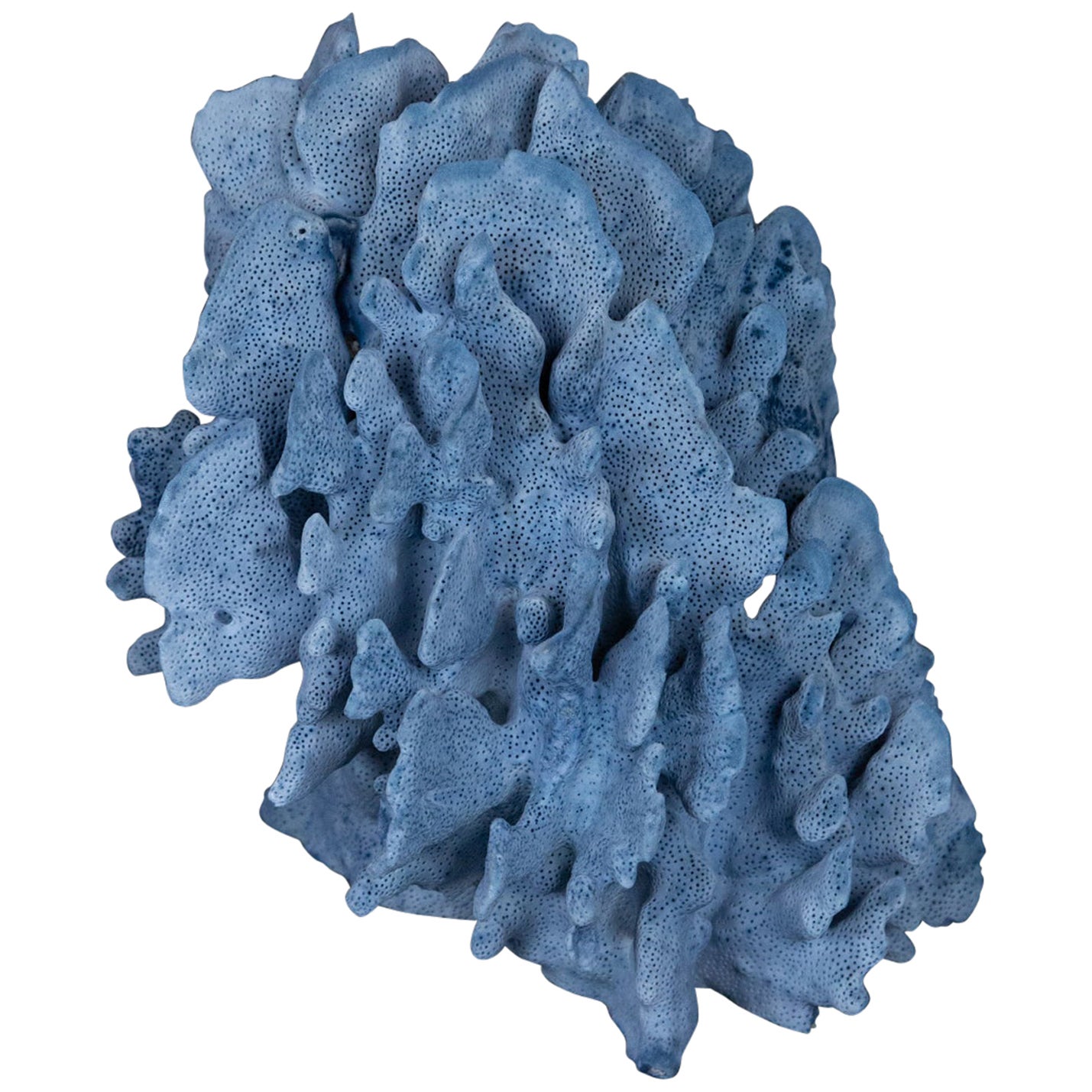 Natural Blue Coral at 1stDibs