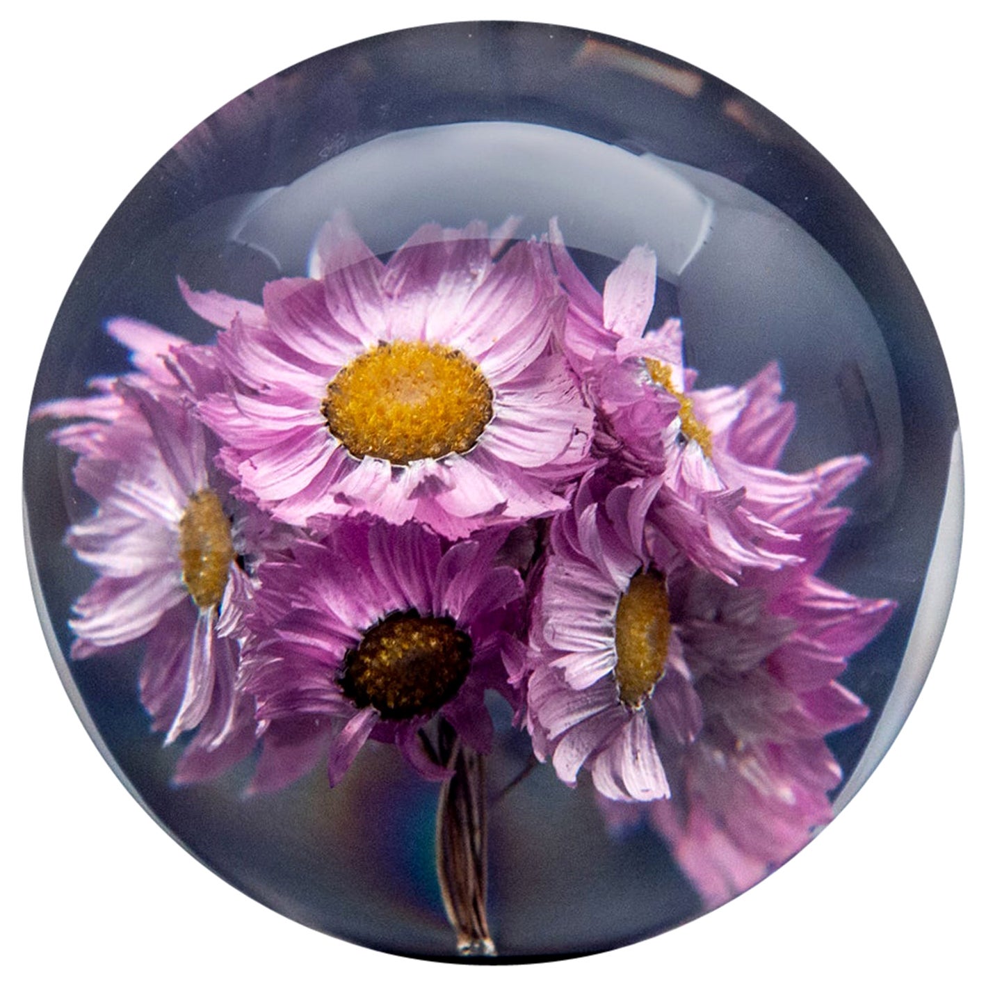 Red Rose Paperweight For Sale at 1stDibs