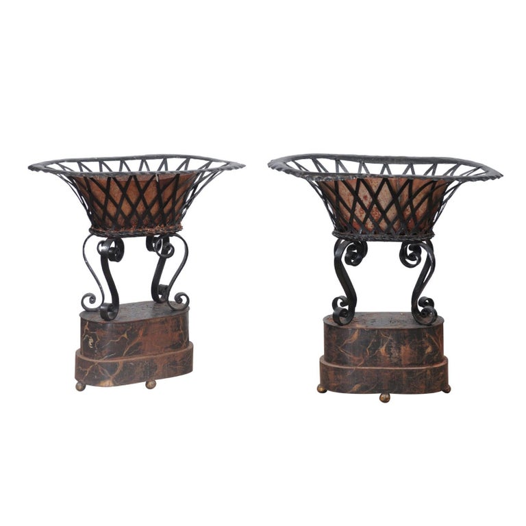 Pair of Black Painted Tole and Iron Planters with Scroll Detail, 19th ...