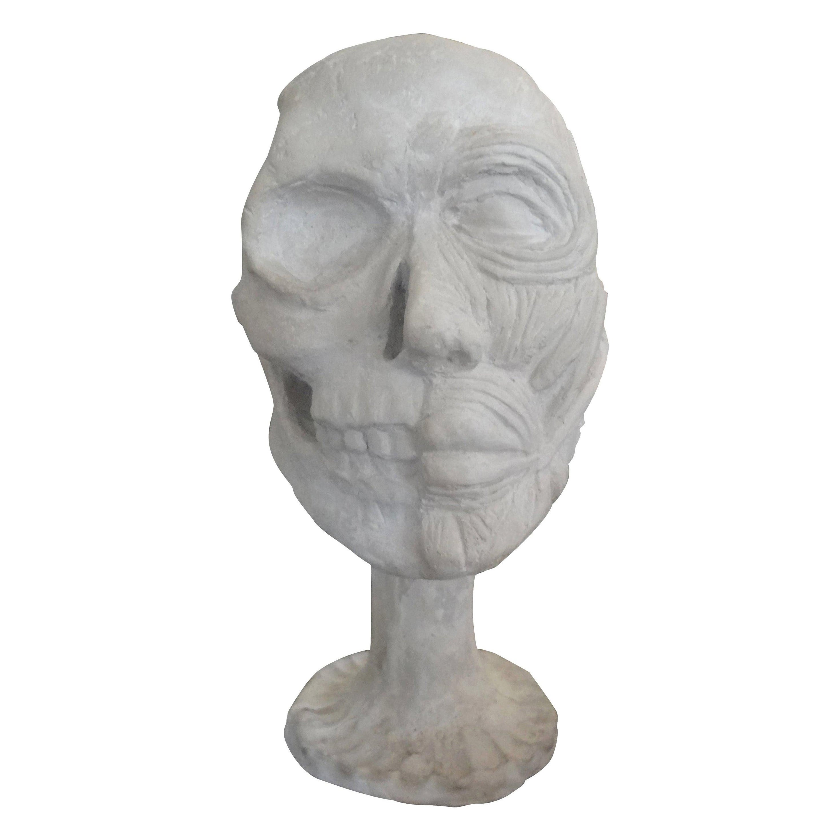 Anatomic Model, Bones, circa 1950 For Sale at 1stDibs