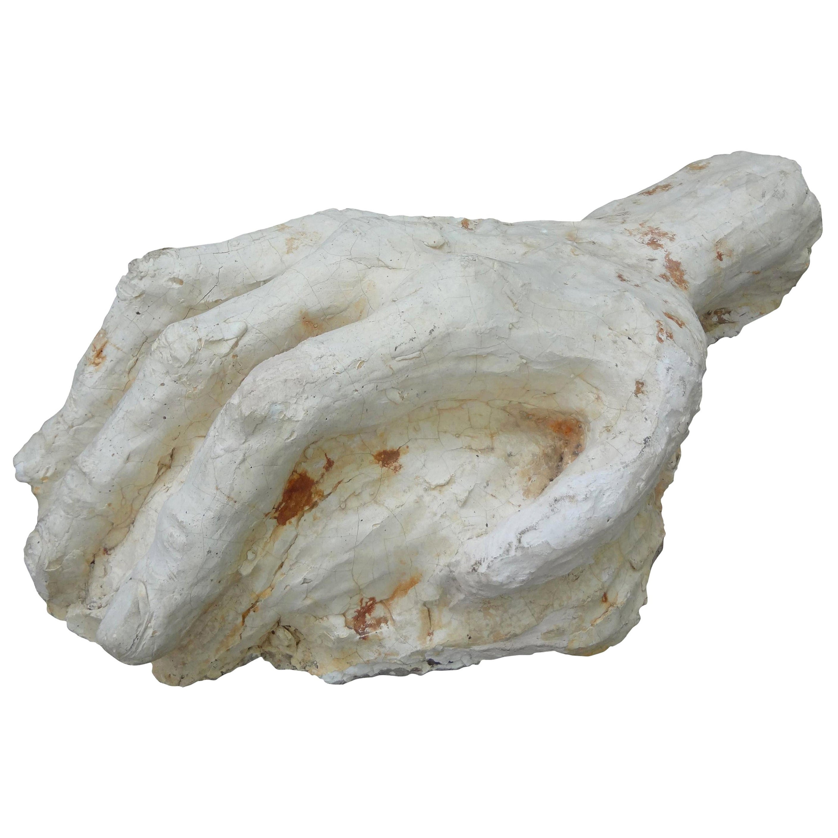 20th Century Painted Plaster Human Anatomy Model of Lungs at 1stDibs
