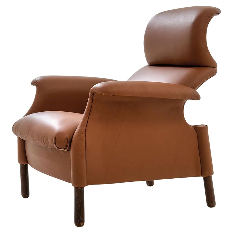 Achille and Pier Giacomo Castiglioni 'Sanluca' Chair For Sale at ...