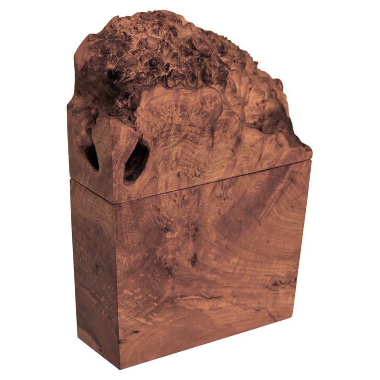 Michael Elkan Tall Burled Wood Studio Box For Sale at 1stDibs
