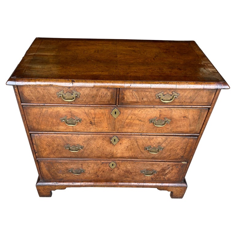 18th Century English Burl Walnut Chest at 1stDibs
