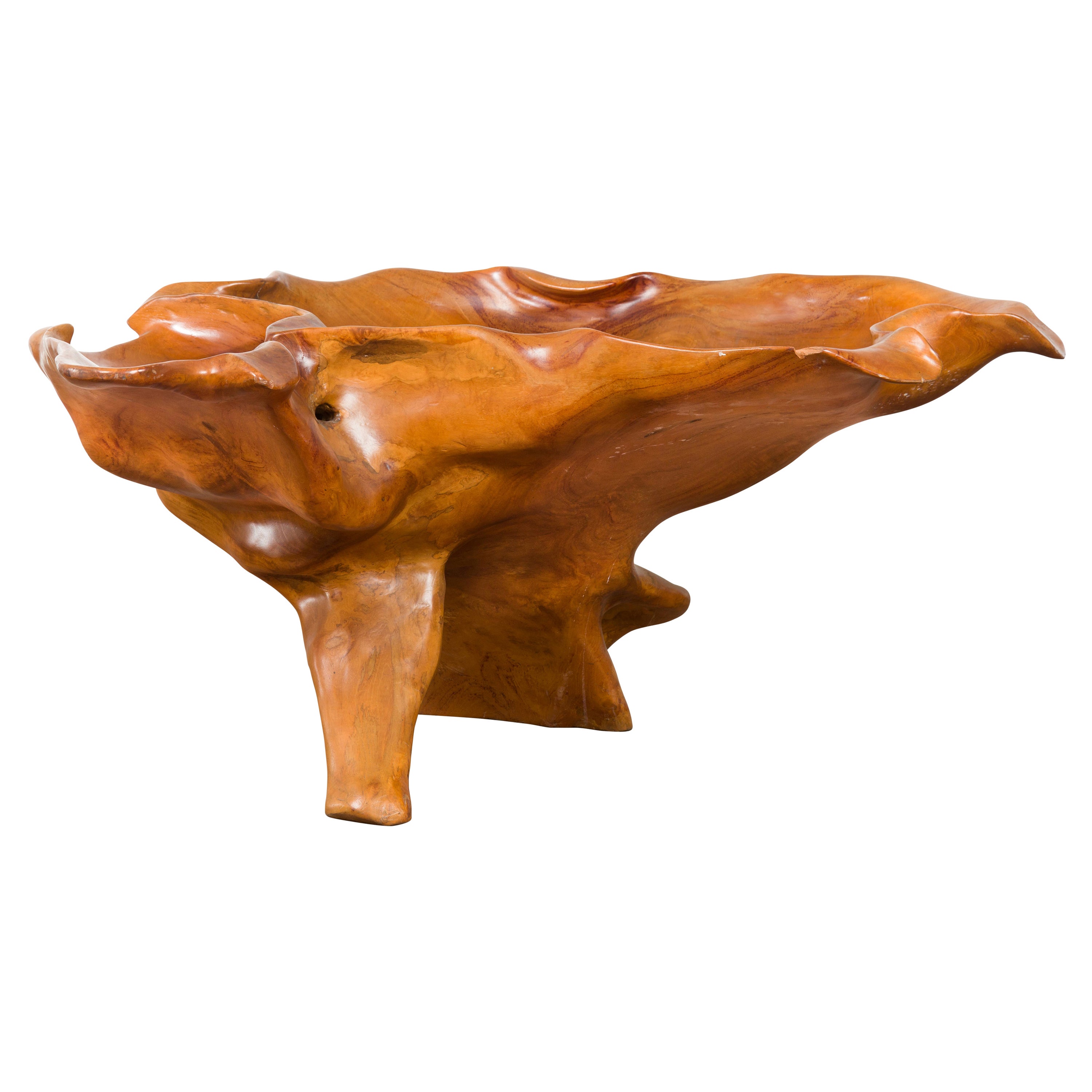 Extroardinary Carved Root Wood SideTable of Peacocks - Indonesian Antique For Sale at 1stDibs