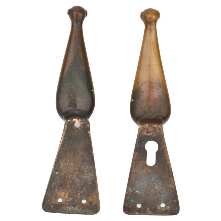 Pair of Push and Pull Bronze Door Handles in the Form of Doves For Sale ...