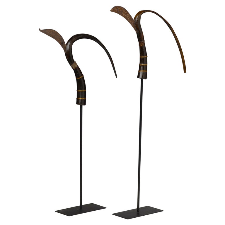 20th Century, A Pair of Antique Cambodia Rice Cutters For Sale at 1stDibs