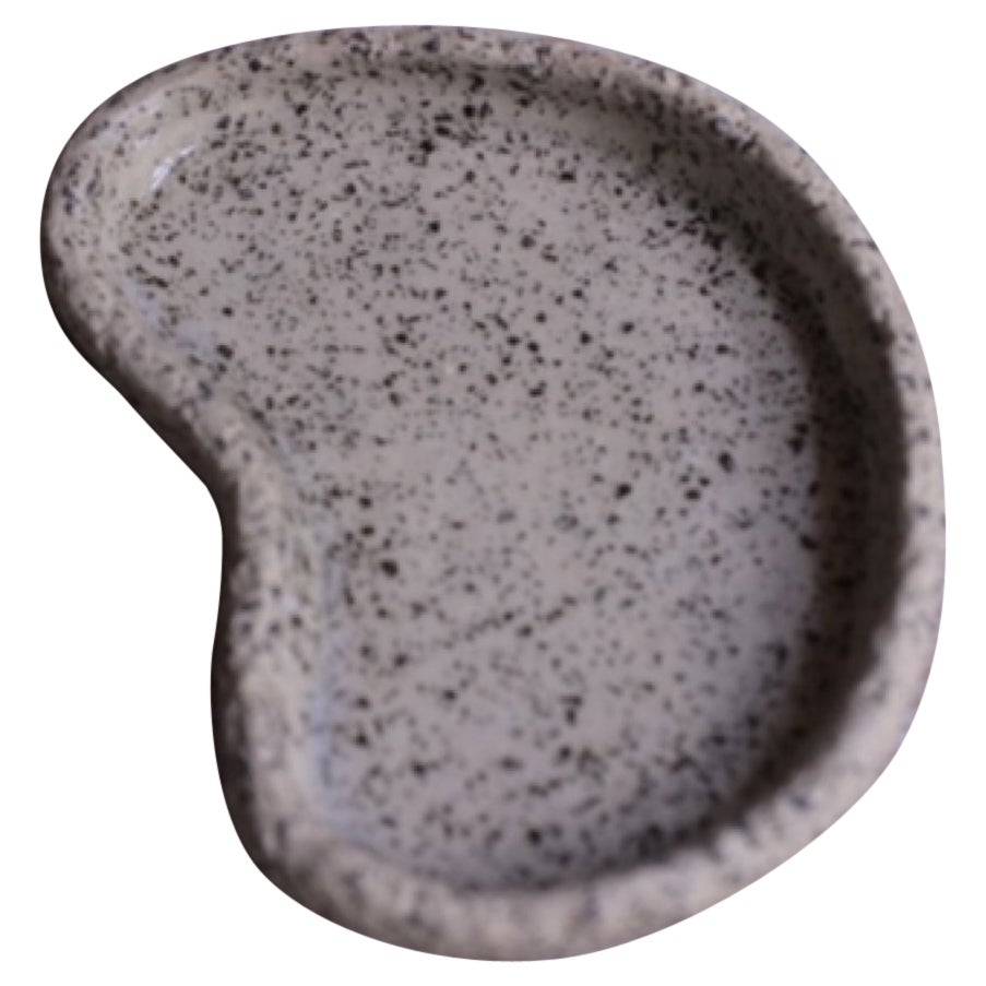 Free Form Puddle Plate in Stracciatella Clay with Sheer Glaze at 1stDibs