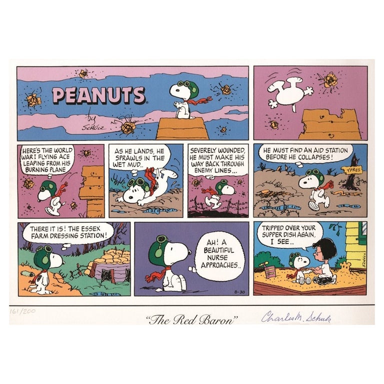 Snoopy Flying Ace Comic Strip