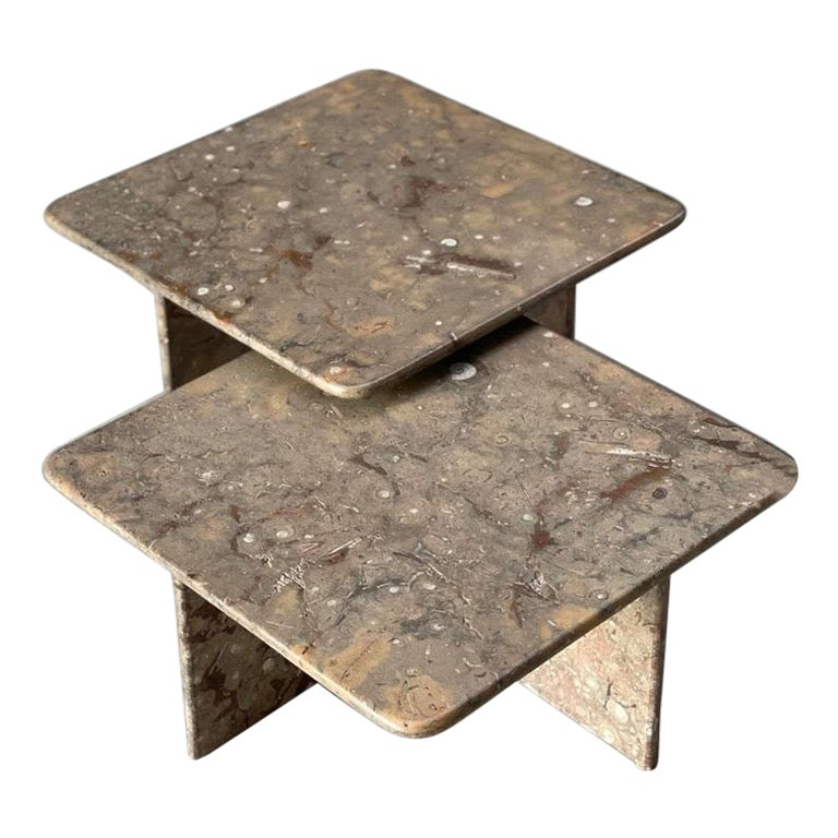 Pair of Ammonite Fossil Mid-Century Stone Tables at 1stDibs