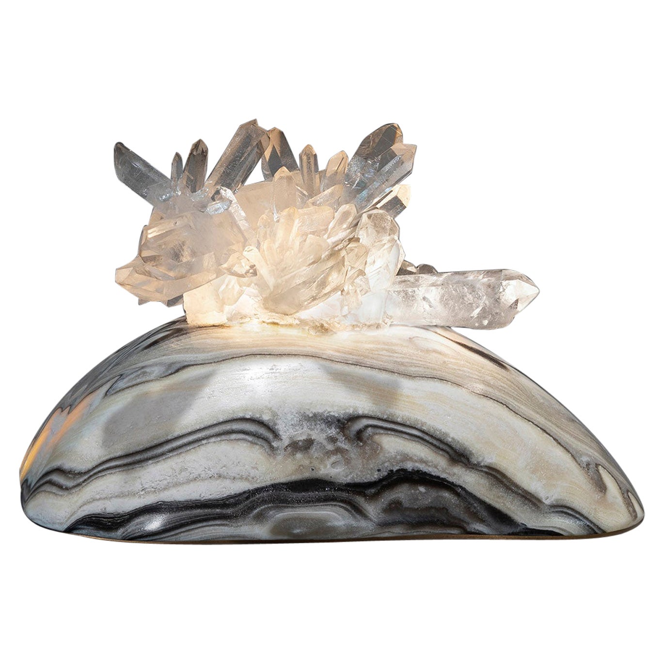 Genuine American Fresh Water Snapping Turtle Shell at 1stDibs