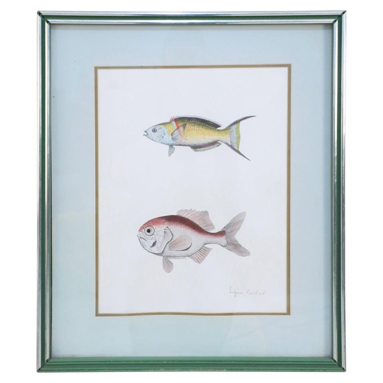 Framed Lithograph of Two Multi-Colored Tropical Fish For Sale at 1stDibs