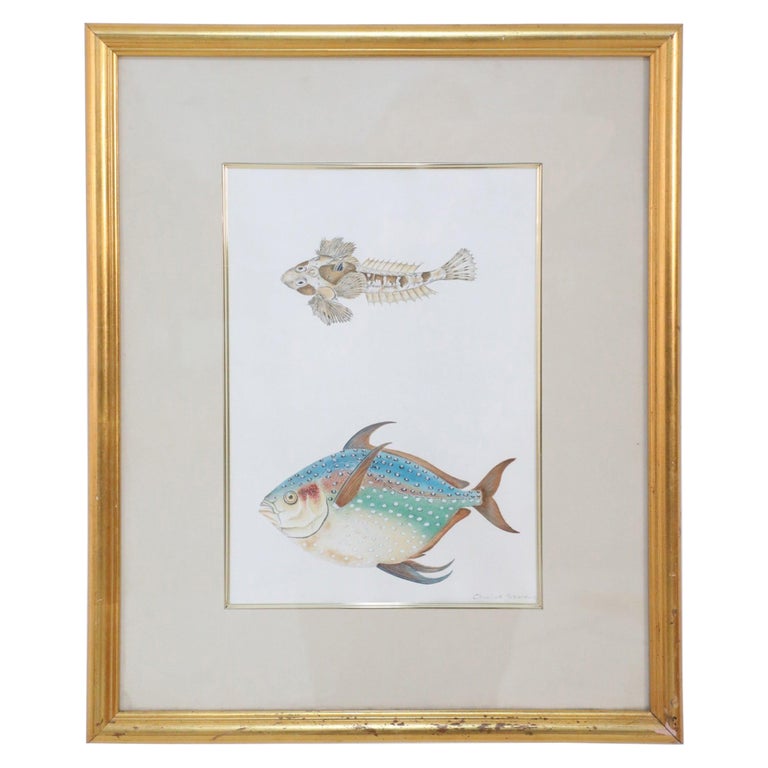 Framed Color Lithograph of Brown and Multi-Colored Tropical Fish For ...