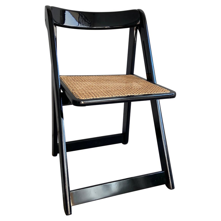 Moderne italienische Mid-Century-Modern-Sessel „Trieste“ von Aldo ...