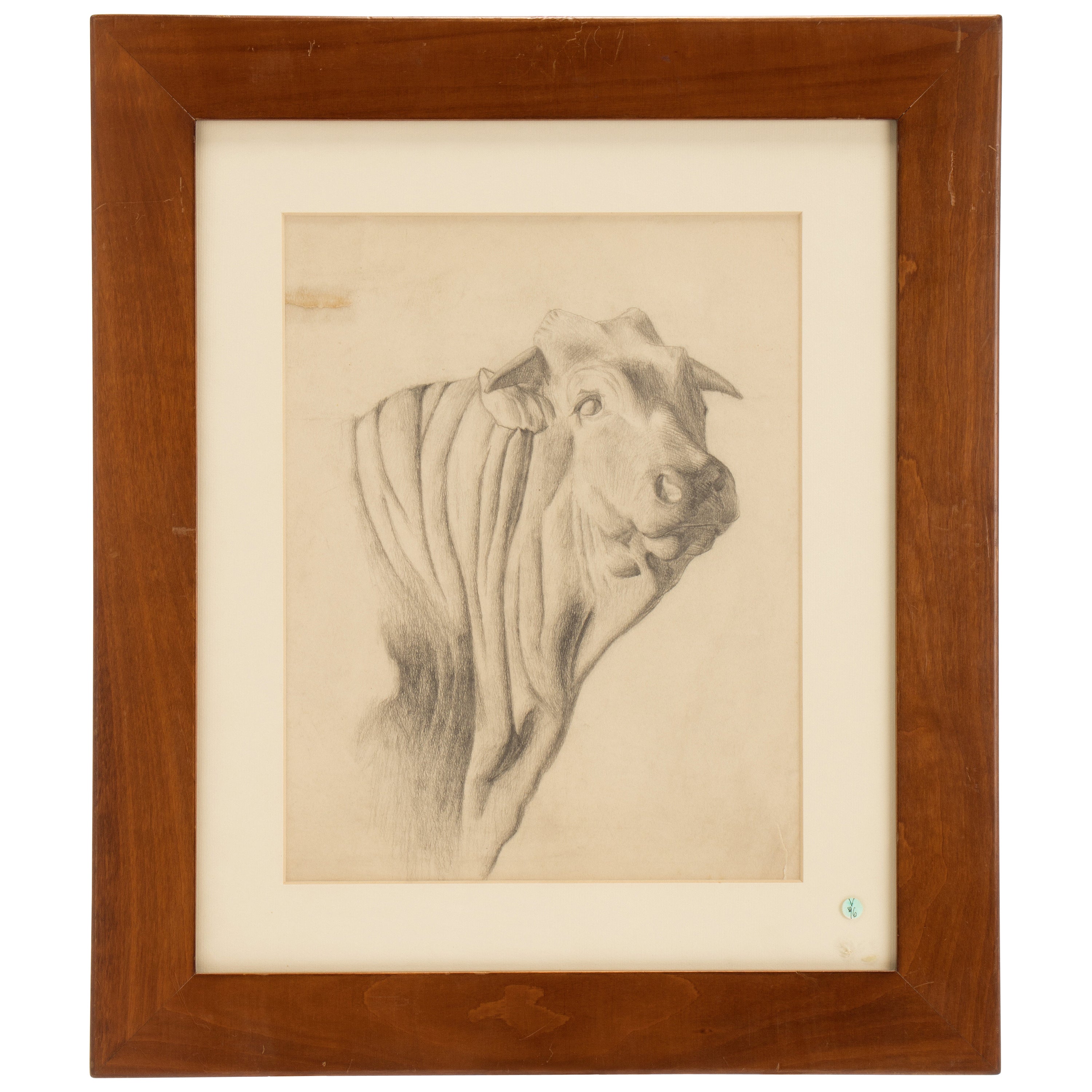 Pencil Drawing Depicting the Head of an Ox, Austria 1920 For Sale at ...