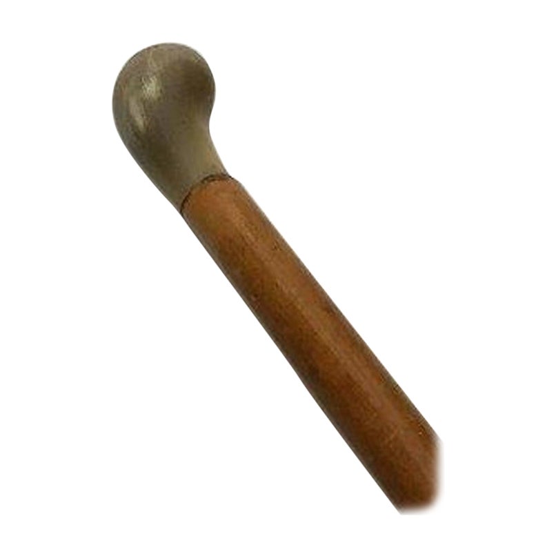 Antique Bavarian Hunting Antler Walking Stick, 1900s, Germany For Sale ...