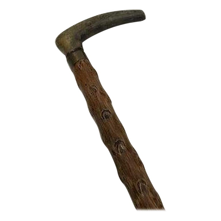 Antique Irish Walking Stick w. Head of Carved Antler Horn and Shaft of ...