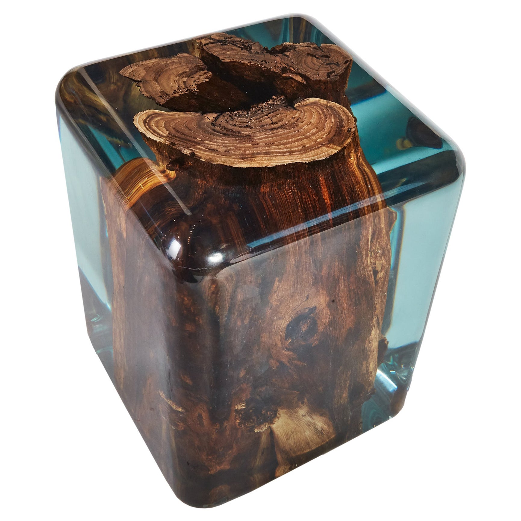 Epoxy Resin Stool, Walnut Stump Stool, Ready to Ship For Sale at ...
