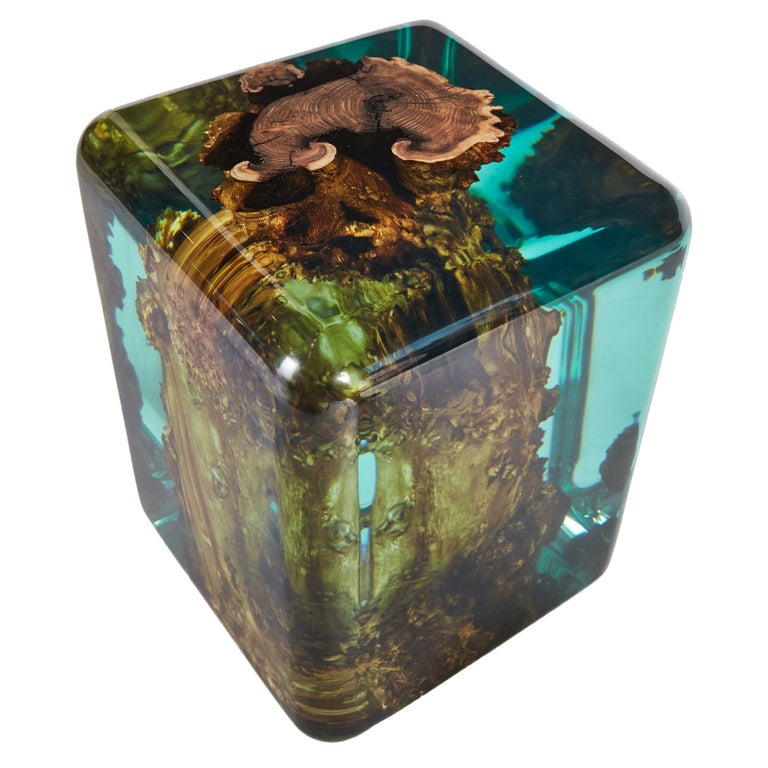 Epoxy Resin Stool, Walnut Stump Stool, Ready to Ship For Sale at 1stDibs