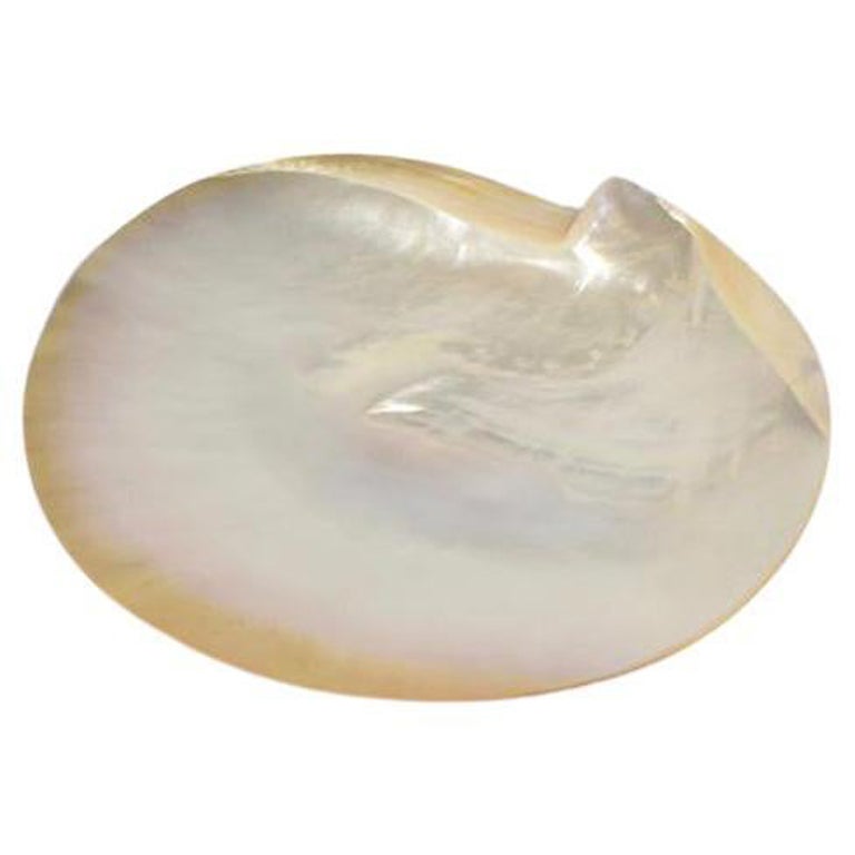 Mother of Pearl Dish at 1stDibs