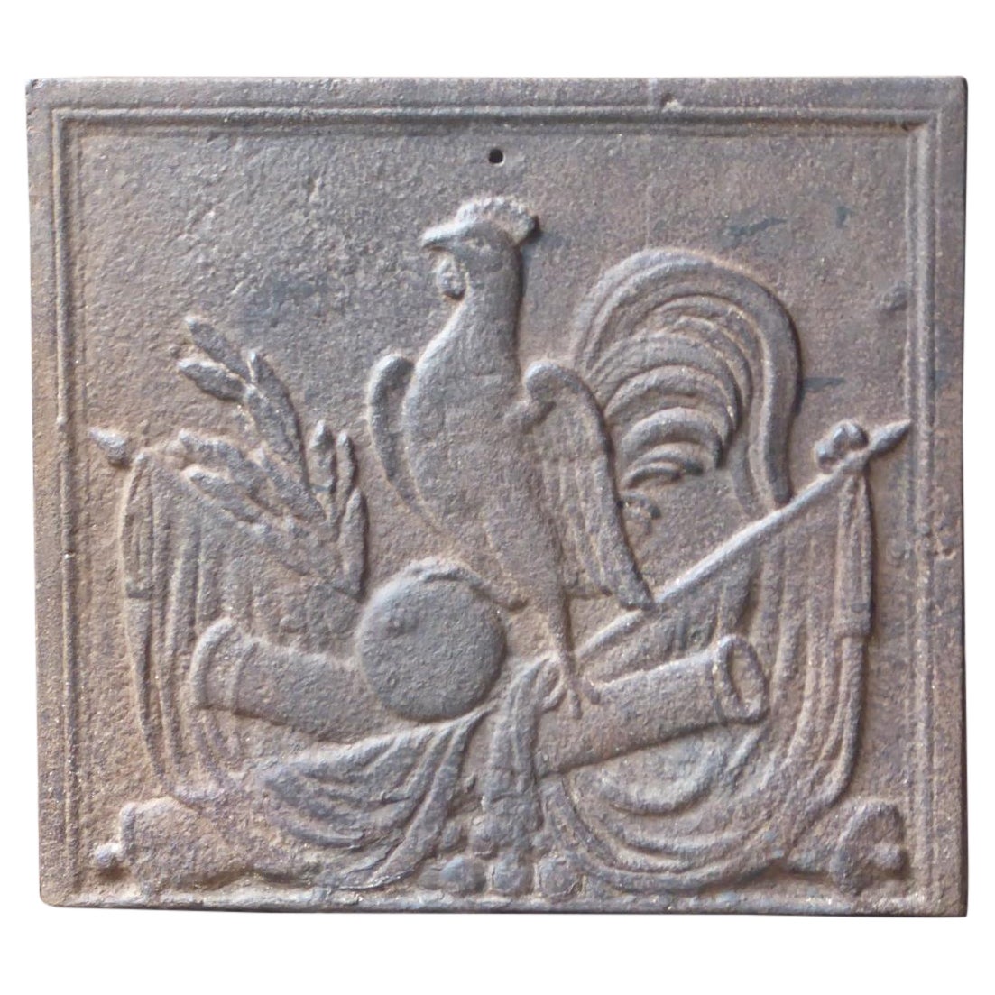 19th Century French 'Allegory of France' Fireback at 1stDibs